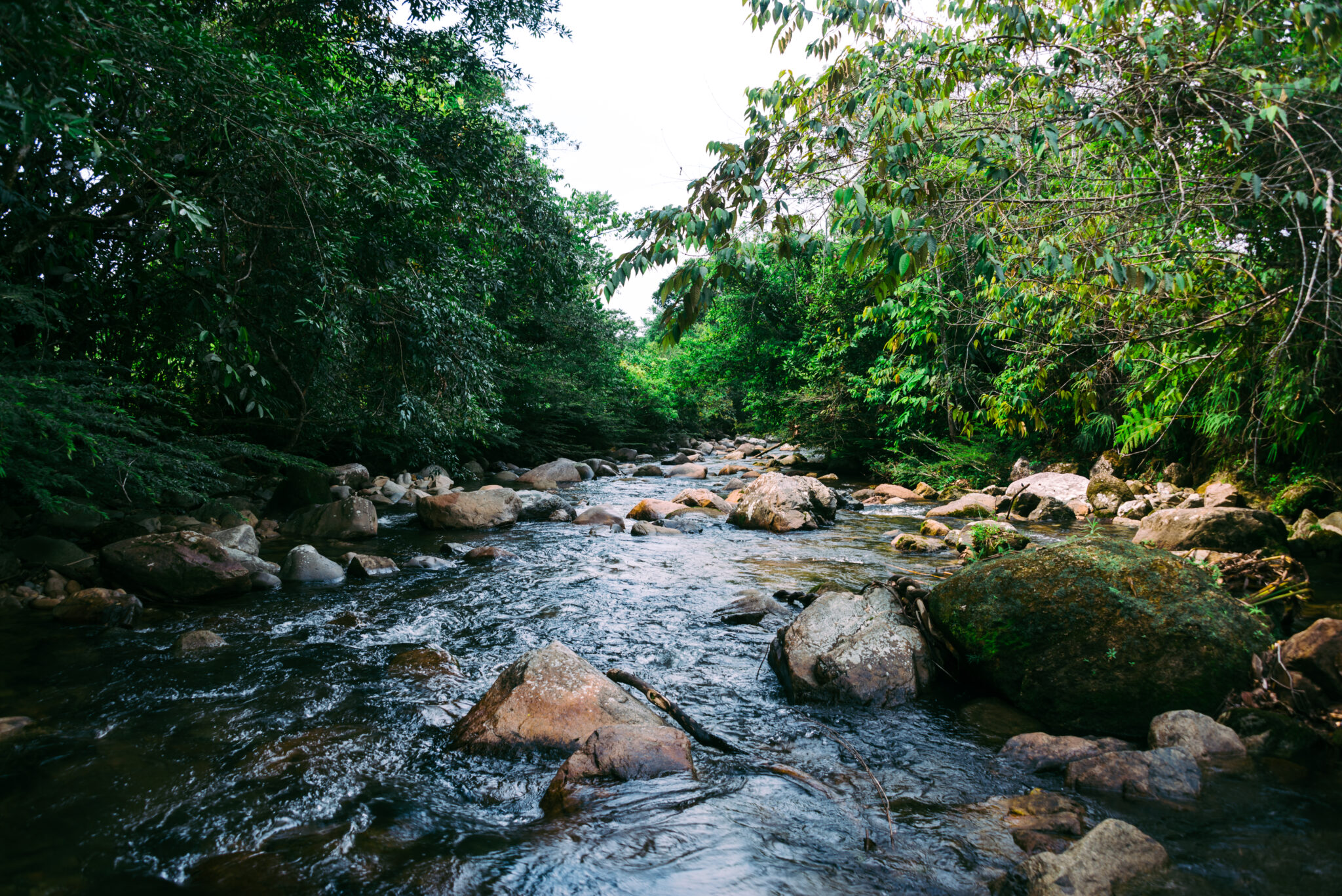 Environment – Gran Tierra Energy